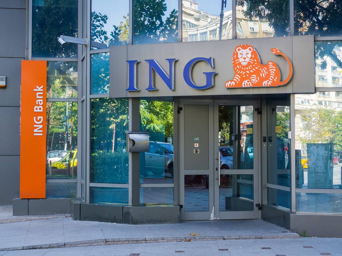 ING: peculiarities of the activities of a large banking group
